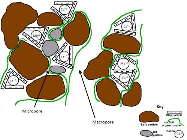 Learning Geology: Soil Profiles And Soil Properties