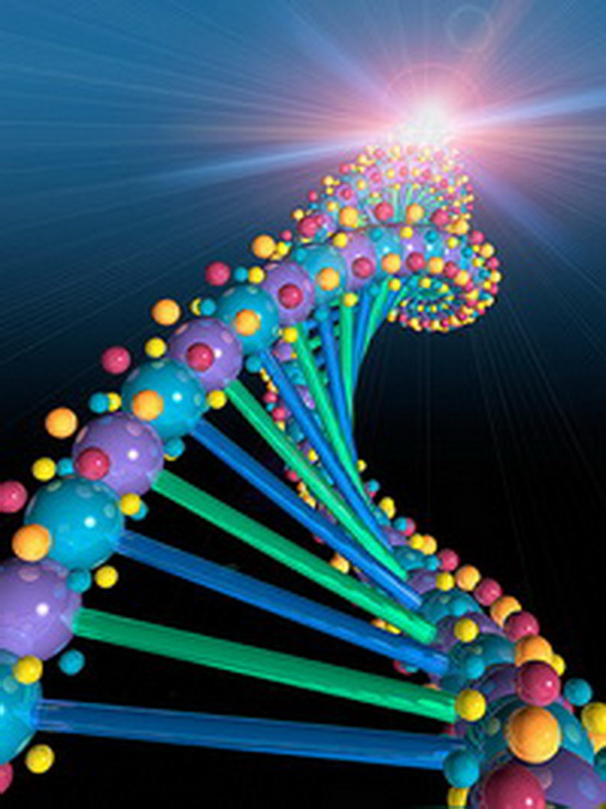 BIOLOGI I: Pendahuluan Biologi Molekuler