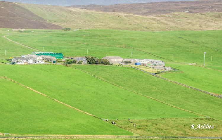Shetland move and experiences: Vantage point Shetland