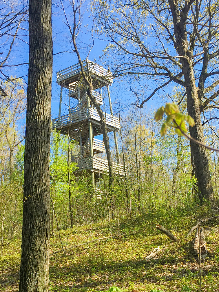 Hiking the Ice Age Trail Pike Lake Segment