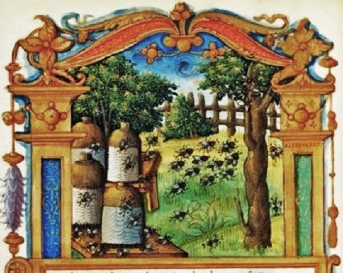 Alimentação na Idade Média em Portugal - Made In Portugal