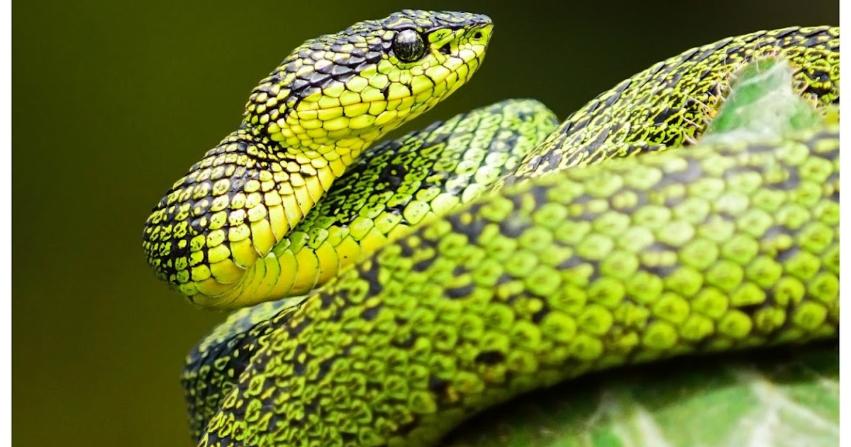 Hungry for God: 4 of Satan's Lies - And the Truth to Combat Them