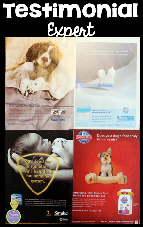 Advertising Techniques: A Project | Upper Elementary Snapshots