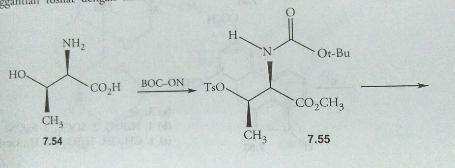 Modifikasi Gugus Amin dan Imin