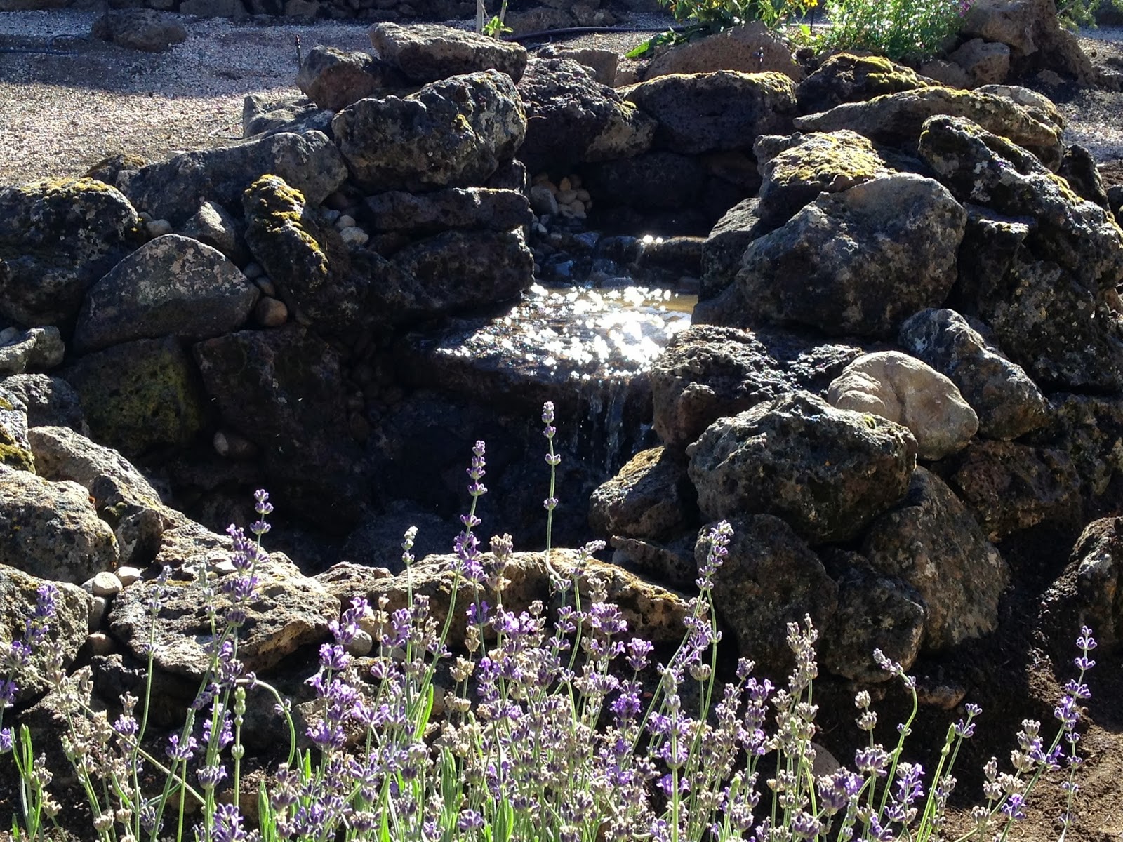 Carlseng Designs: Landscape Design Projects 2013