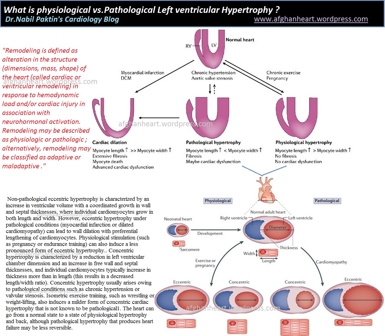 Dr.Nabil Paktin's Journal of Cardiovascular Medicine Blog ژورنال ( قلب ...