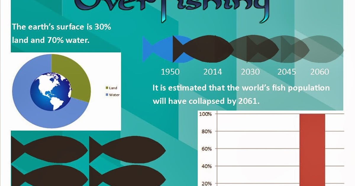 Nathan's I.T. Blog: Overfishing Infographic