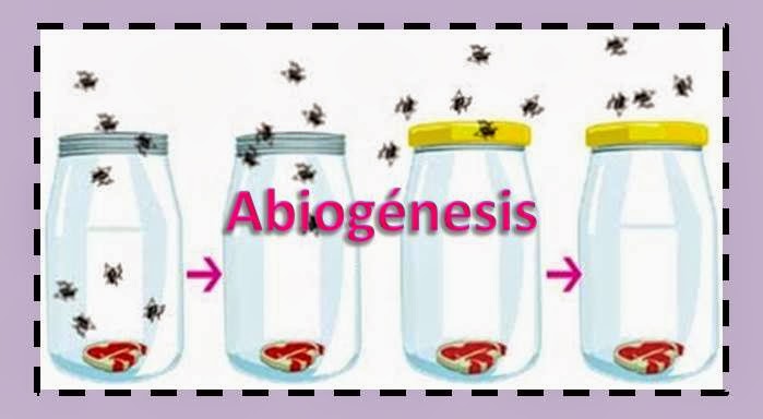 Curiosidad Biologica: Abiogenesis