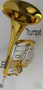 Flowers Name | English Meaning & Image | Flowers Vocabulary | Necessary ...