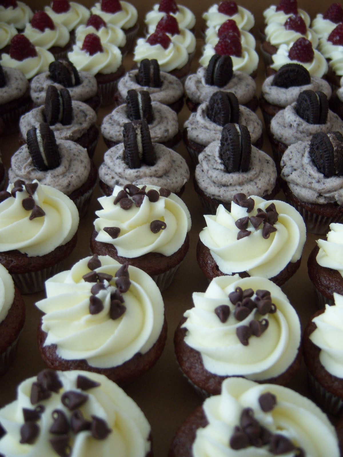 Creative Cakes By Angela: Mini Gourmet Cupcakes