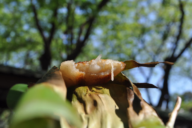 Angeles City and Beyond: Food: Tupig of Pangasinan