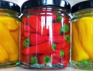 In en om die huis: Jean se Ingelegde rissies