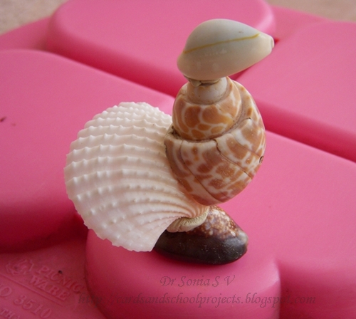 Cards ,Crafts ,Kids Projects: Shell Craft - Altered Photo Frame and ...