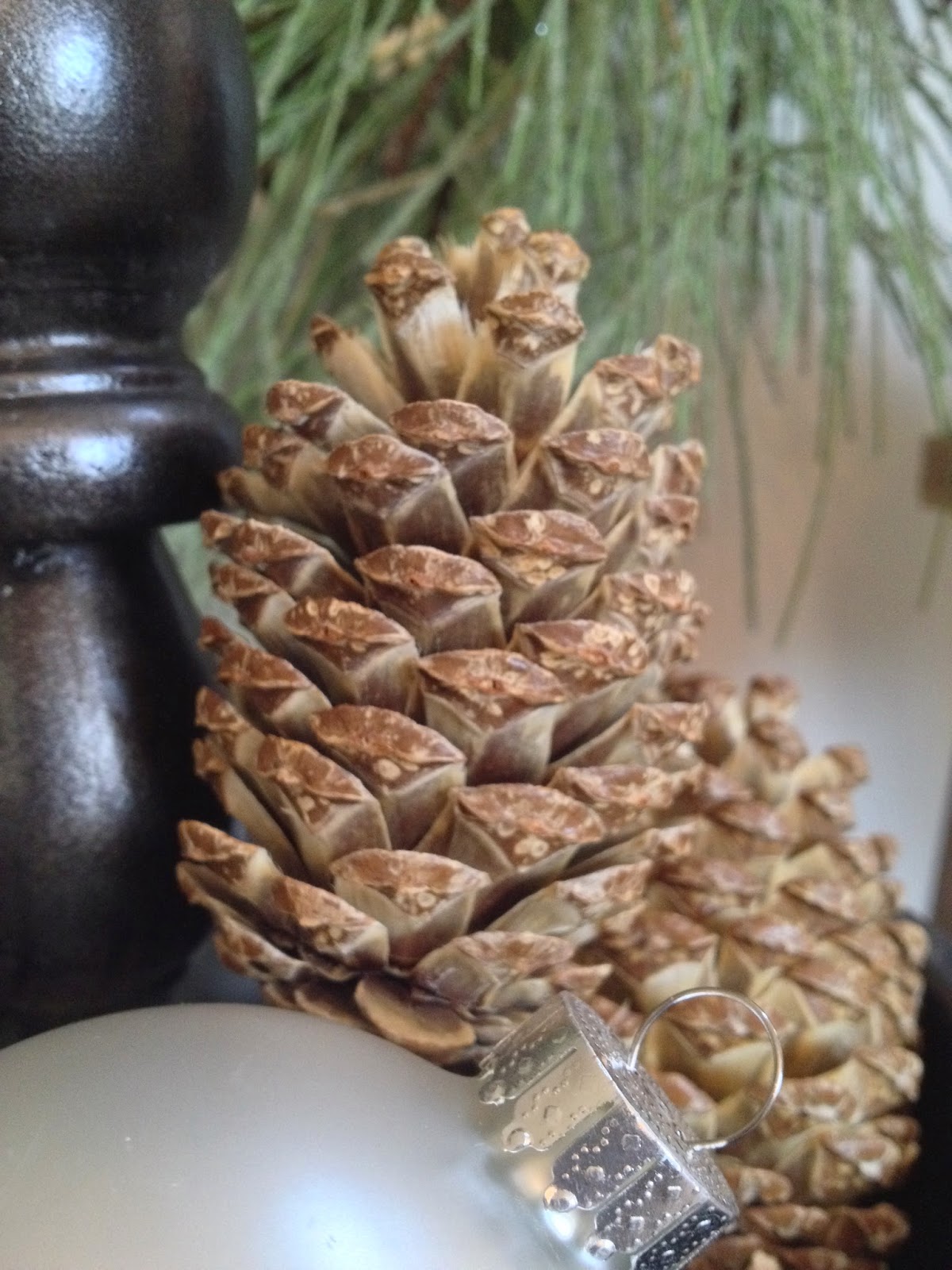 her lovely nest.: DIY - beautiful bleached pinecones.