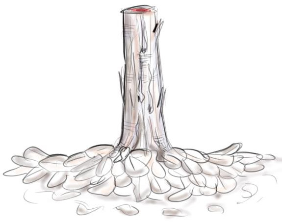 BaitRageous: What is a fiddler worm....?