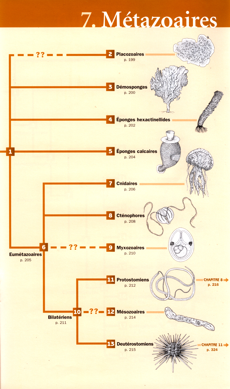 KiemLeSavoir: Tous des sarco...