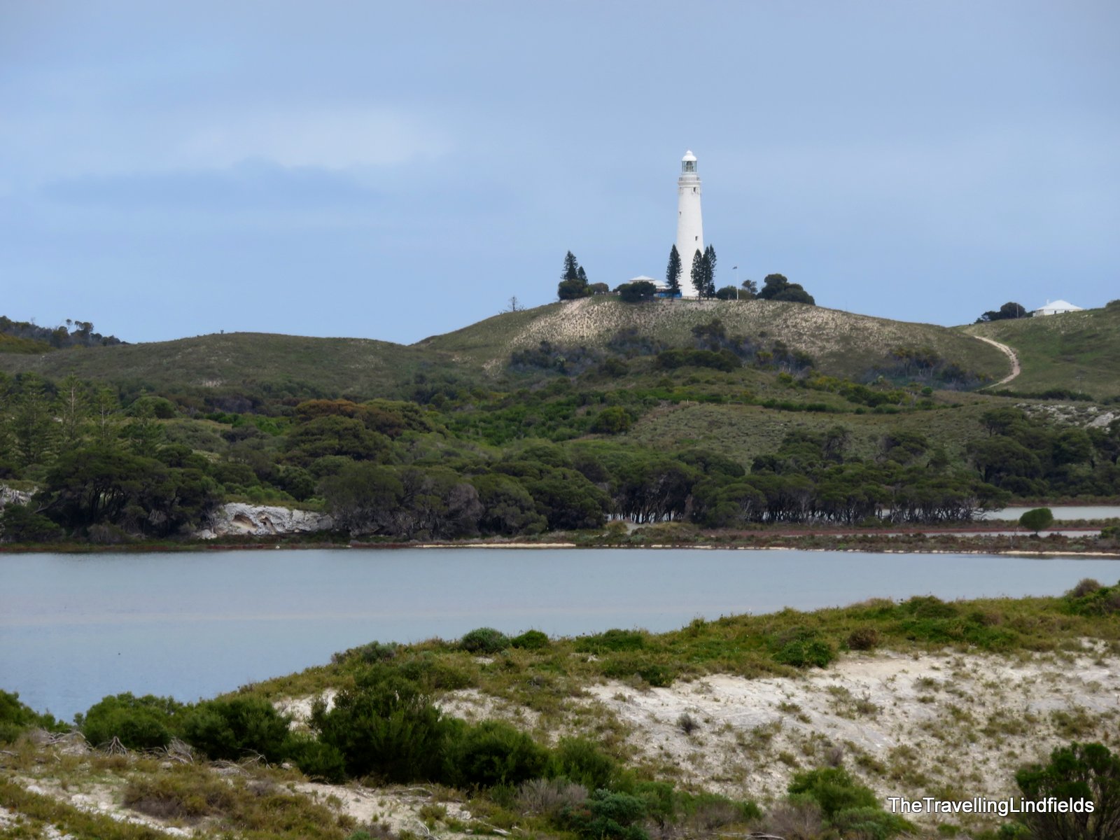 The Travelling Lindfields: Rottnest Island: A guide to quokkas, cycling ...