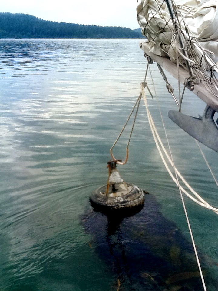 s/v Chaika: Boat Projects