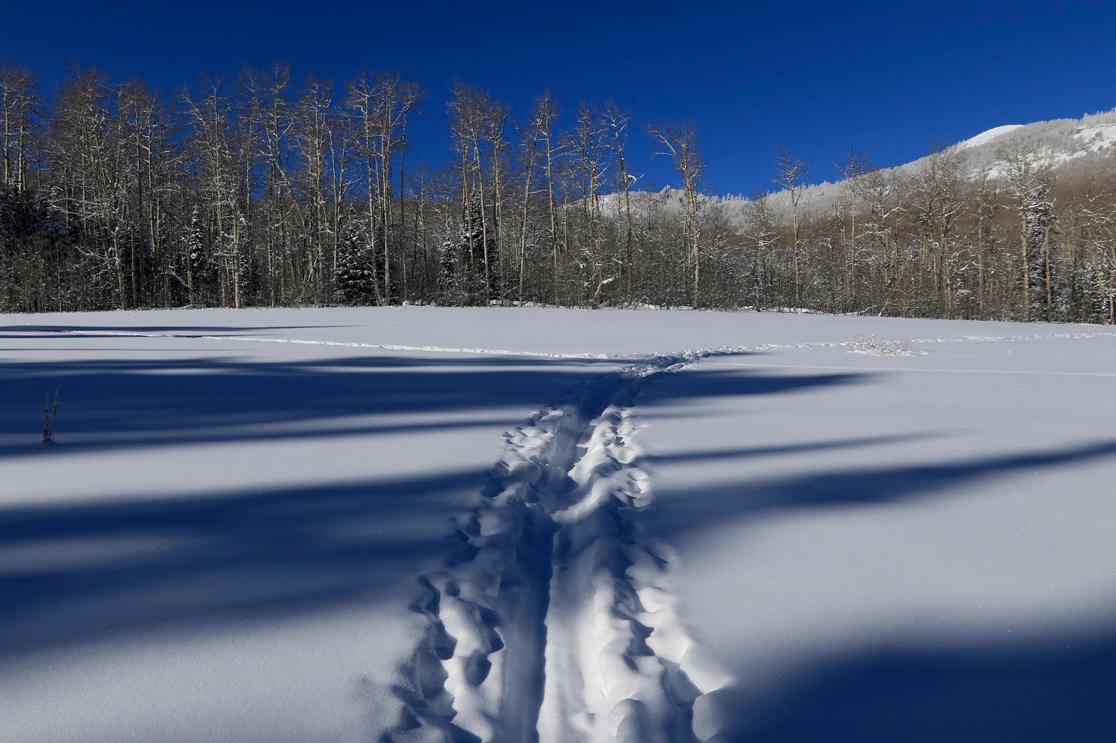 gjhikes.com: Upper Meadow Loop