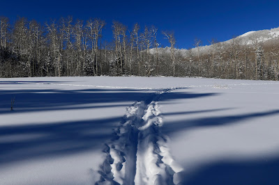 gjhikes.com: Upper Meadow Loop