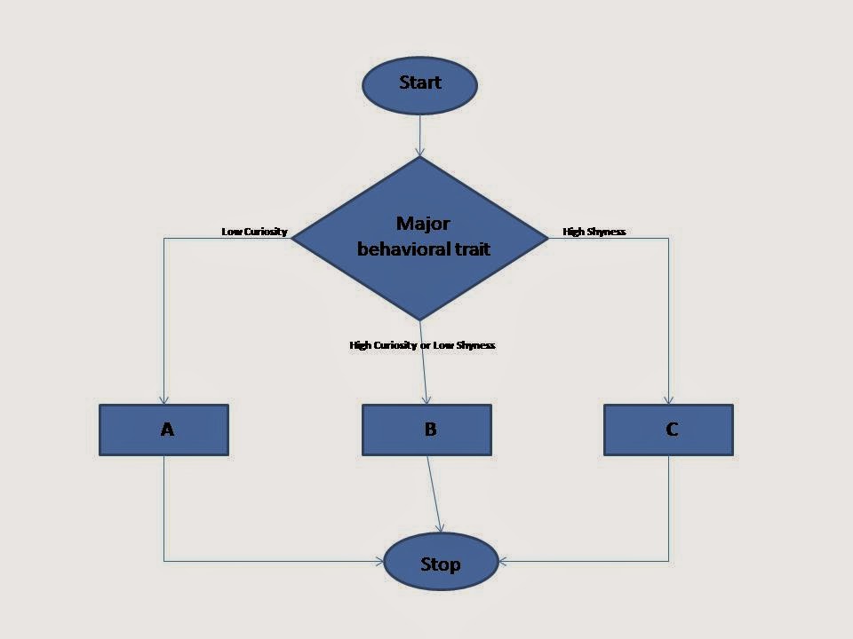 The Clueless Rider: How To Classify People You Meet On The Road