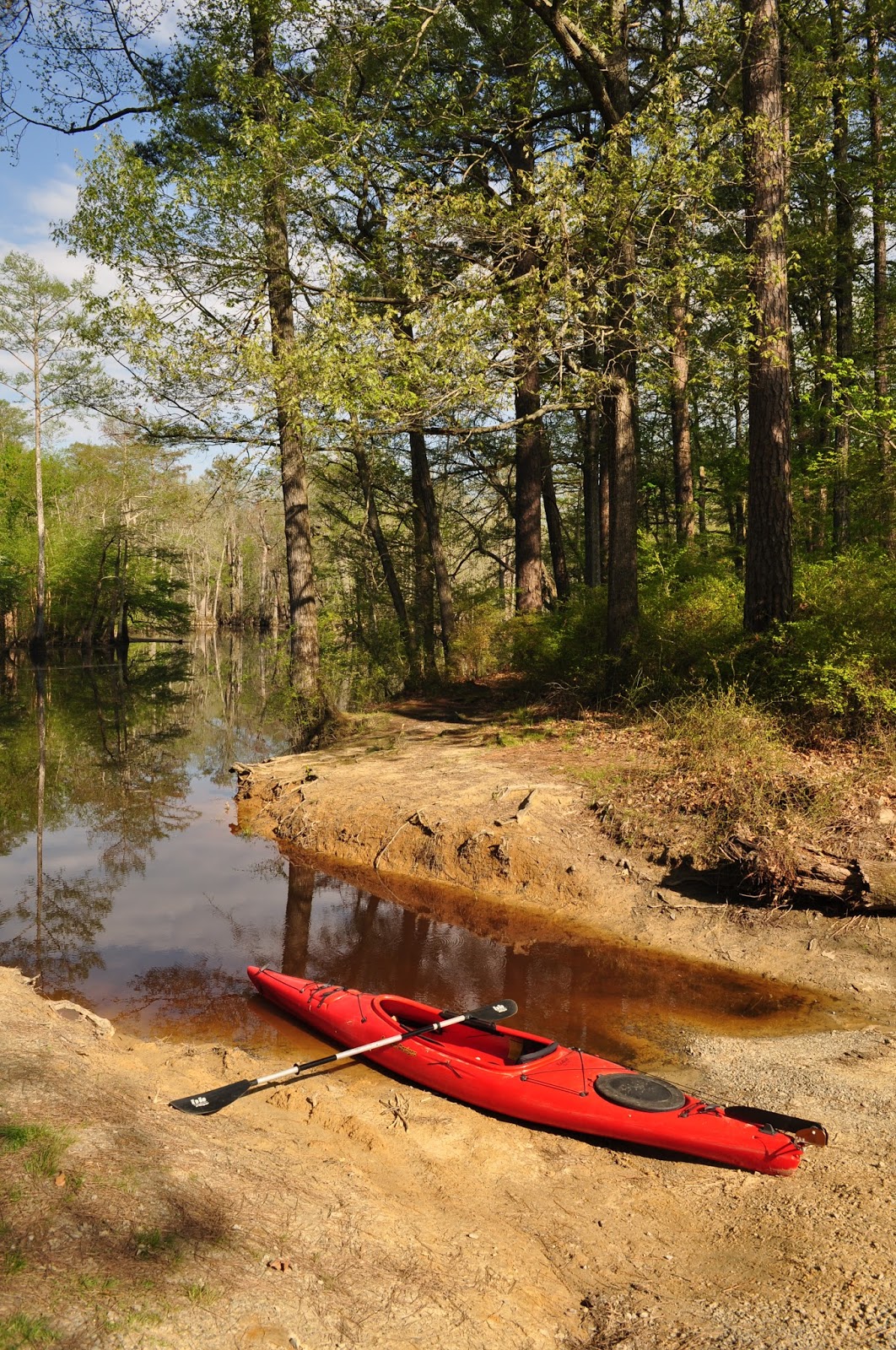 A Tidewater Paddler: Nottoway River - 4/18/15