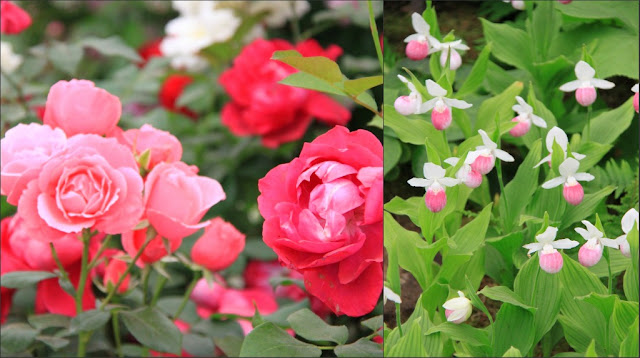 Pas grand-chose: 05/30/11