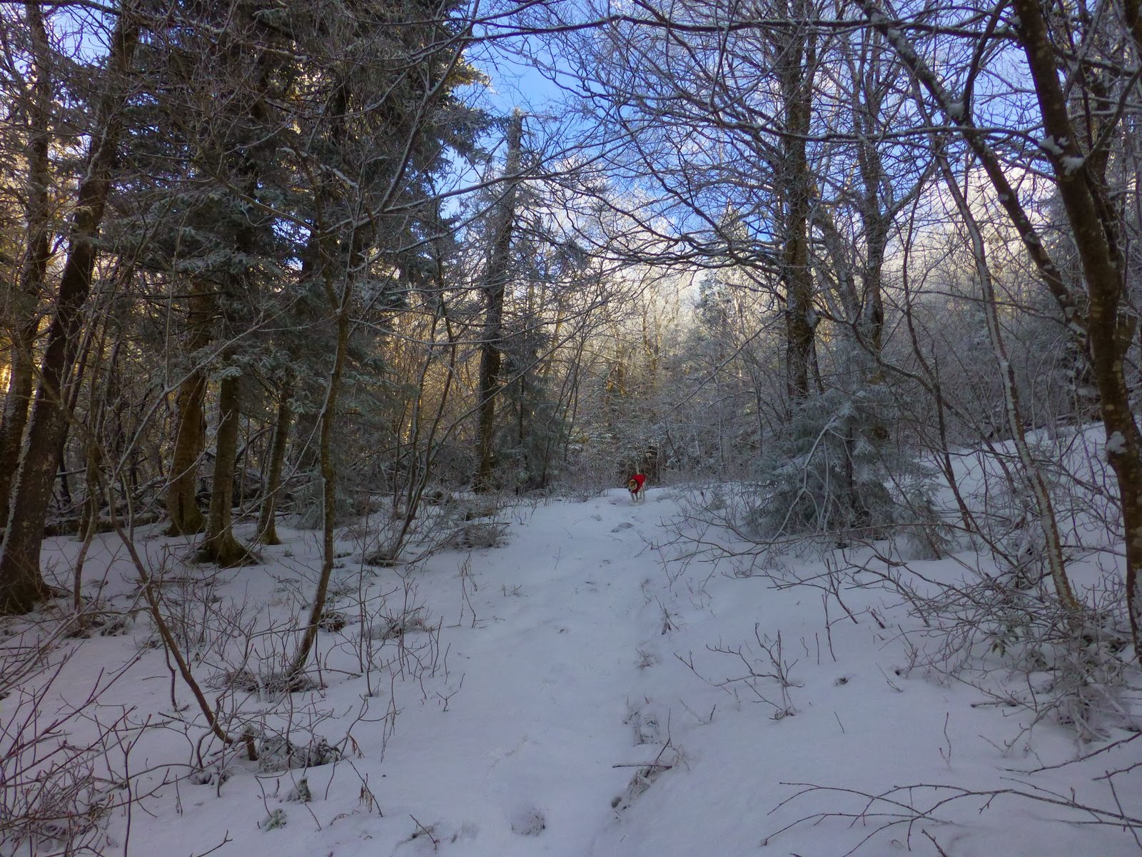 Off on Adventure: Morgan Mountain & Cooper Kiln Pond - Taylor Pond Wild ...