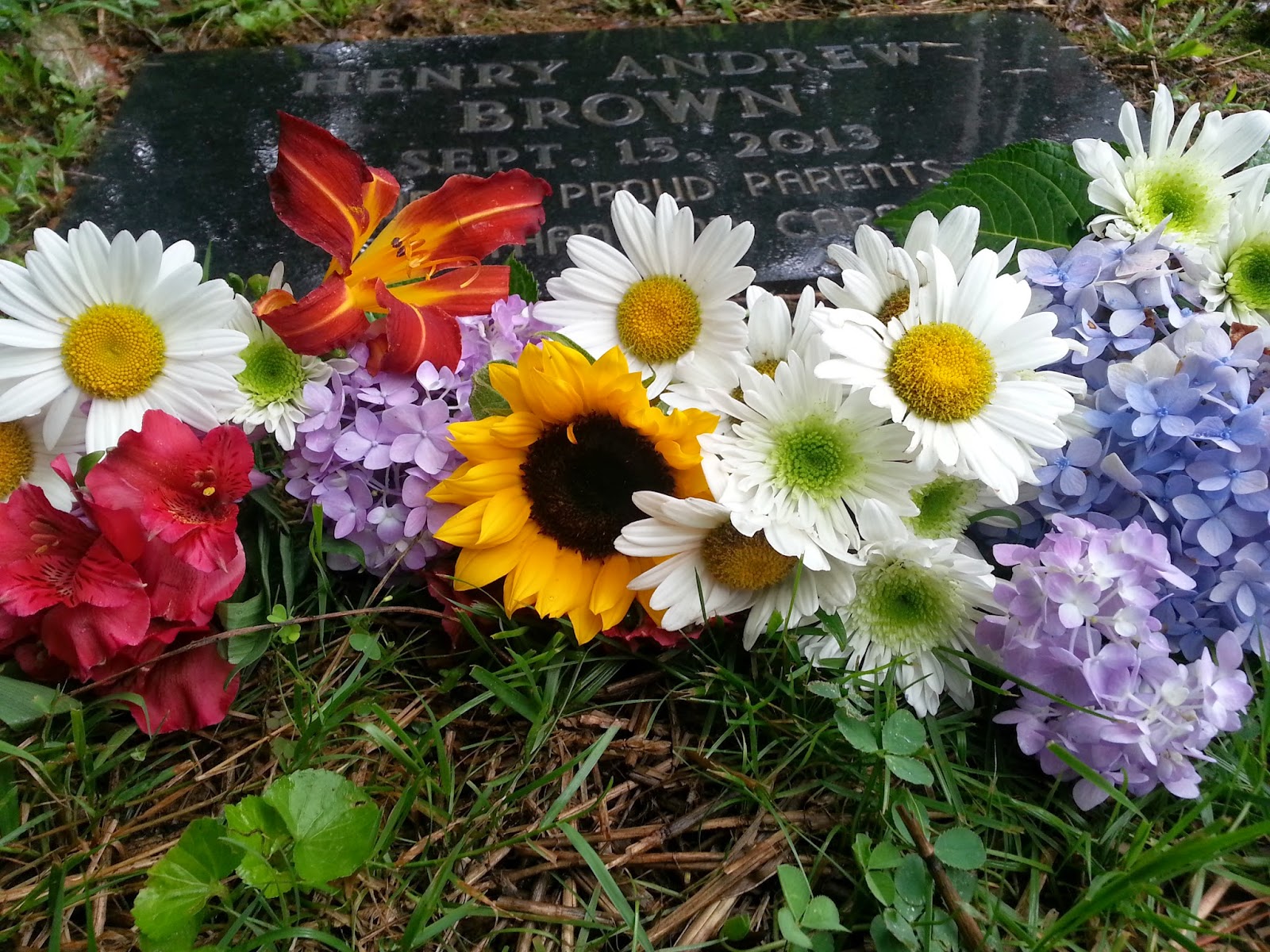 Domesticated Cara: Flowers for Henry