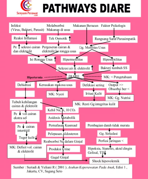 Asuhan Keperawatan Diare pada Anak, Nanda Nic Noc Terbaru! - karya ...