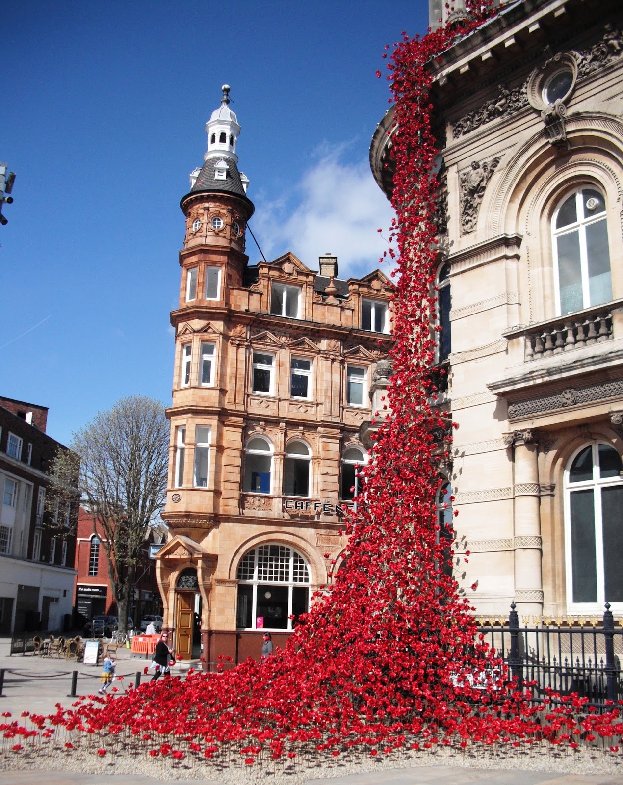 Love my life: Poppies in Hull