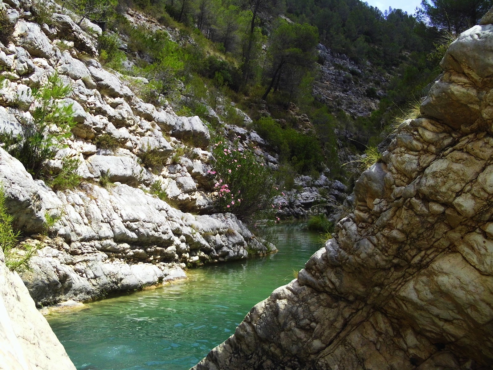 ArwenEyes: La Mejor ruta con diferencia Rio fraile (Bicorp)