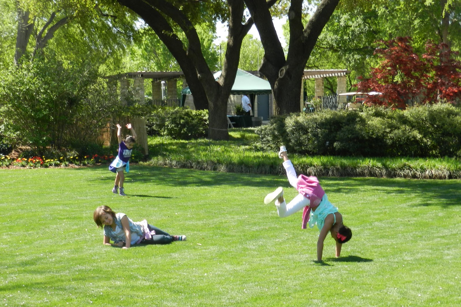 Prairie Rose's Garden: April 2013