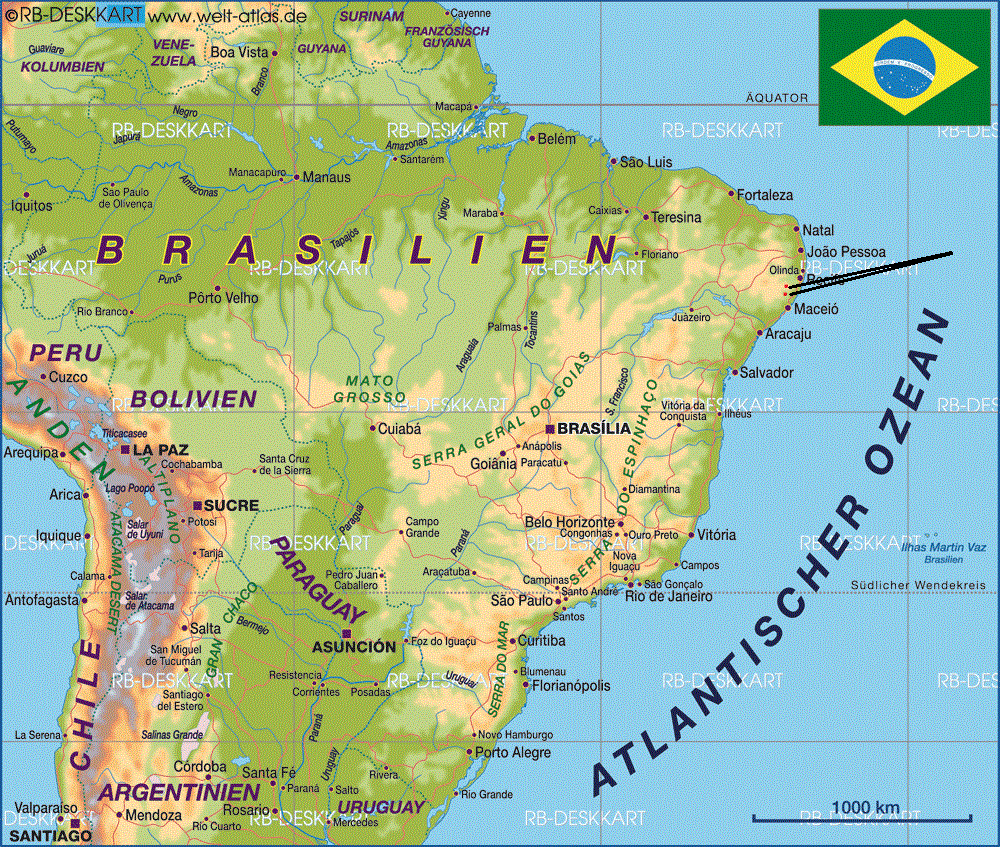 Laberinto en extinción: Ticotico críptico (Cichlocolaptes mazarbarnetti)