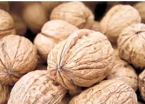 TELUGU WEB WORLD: WALL NUTS GIVES HEALTHY LIFE - USE WALL NUTS DAILY ...