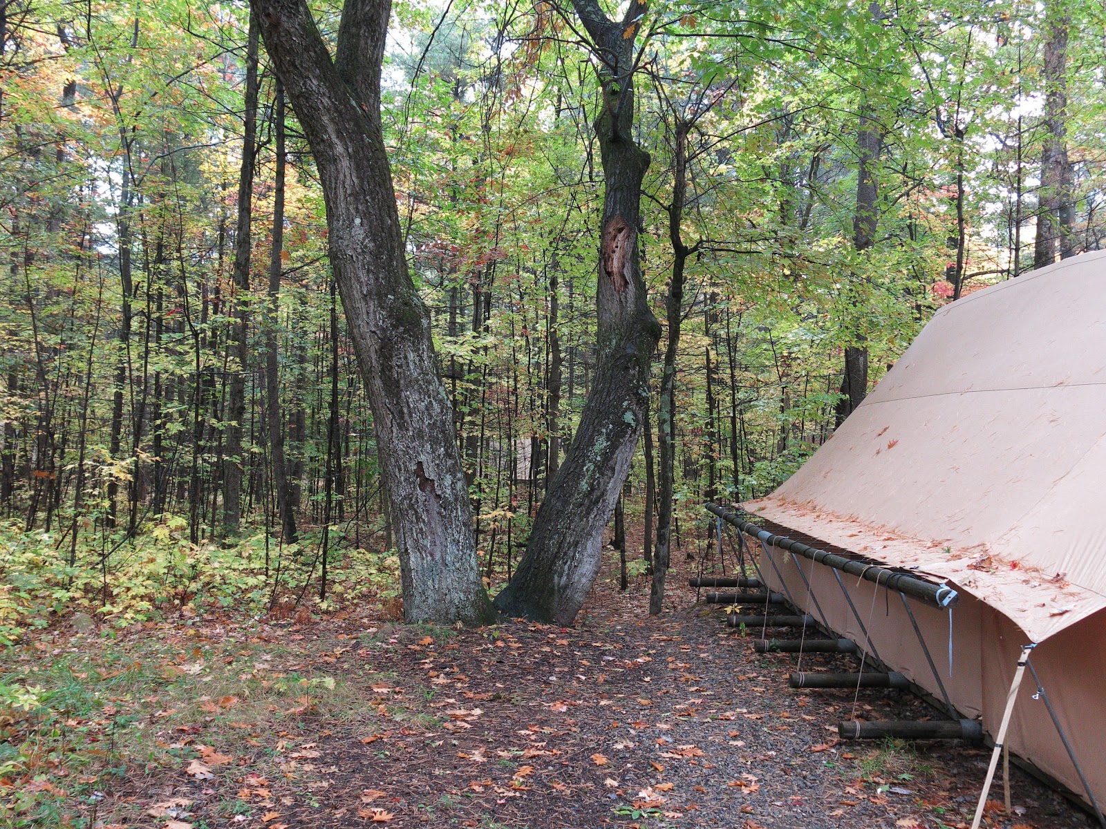 The Campsites: Oka National Park, Huttopia 133