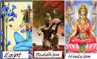 Floarea de lotus: Simbol şi semnificaţie - diane.ro