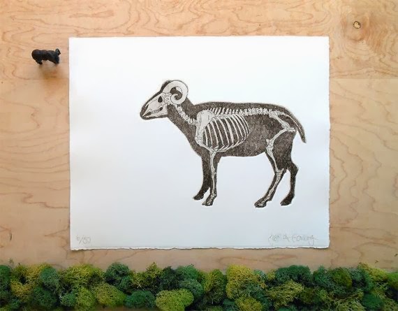 Ram's Horn: Ram skeletons and reference