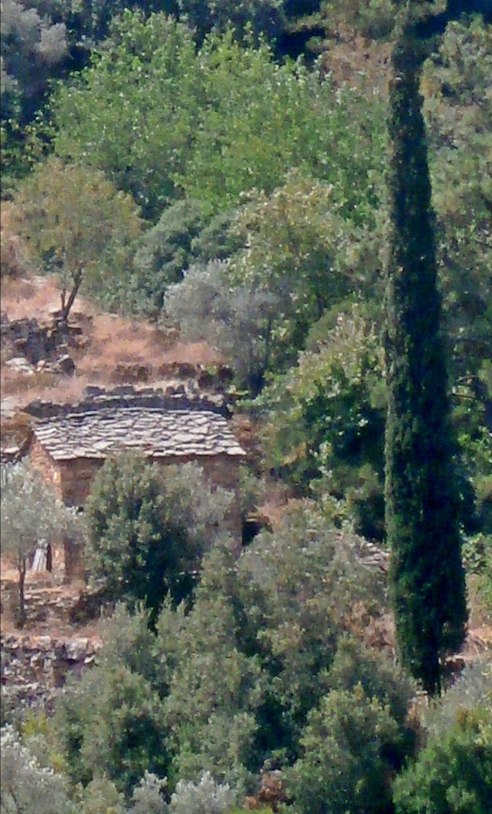Άρωμα Ικαρίας: Καλημέρα
