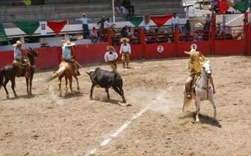 charreria mexicana: TERNA