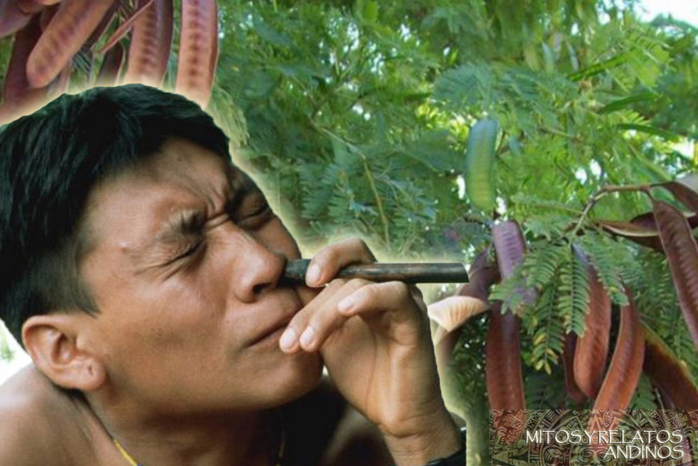 SUR MILENARIO, cultura y tradición andina: 2016