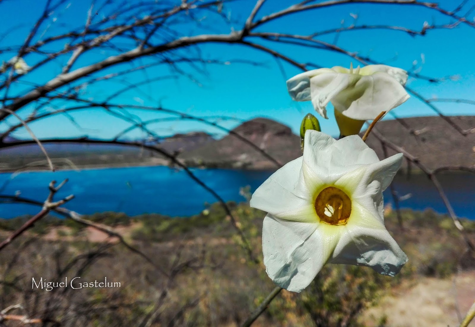 Explorando el Dique 10 Hornos Sonora #1