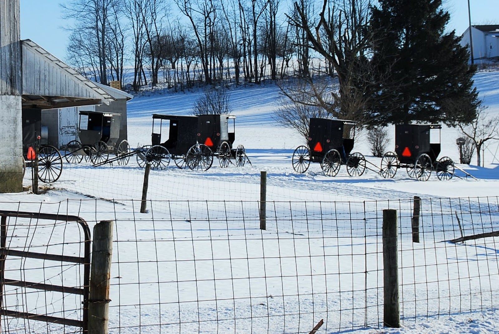 Amish Crossings with Karen Anna Vogel: Amish Reconciliation Dinners ...