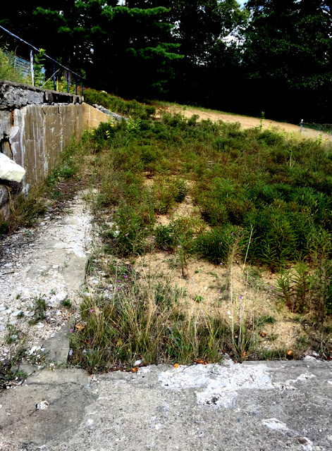 RETRO KIMMER'S BLOG: 22 NEW PHOTOS OF HARRY BENNETT'S LODGE