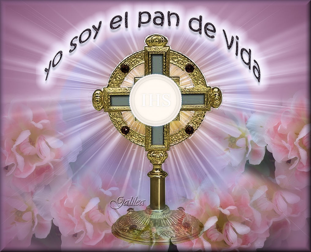 Jesús el Tesoro Escondido: Oración al Santísimo Sacramento