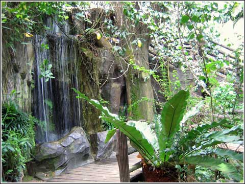 Butterfly Park & Insect Kingdom