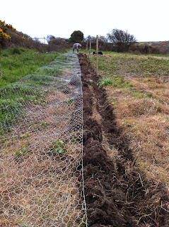 Carnlankie Allotment Association: Badger Proof Fence