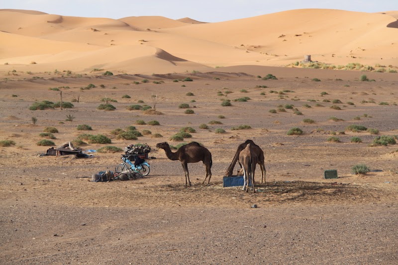 Disfrutando el mundo!: El Sahara ¡increíble!