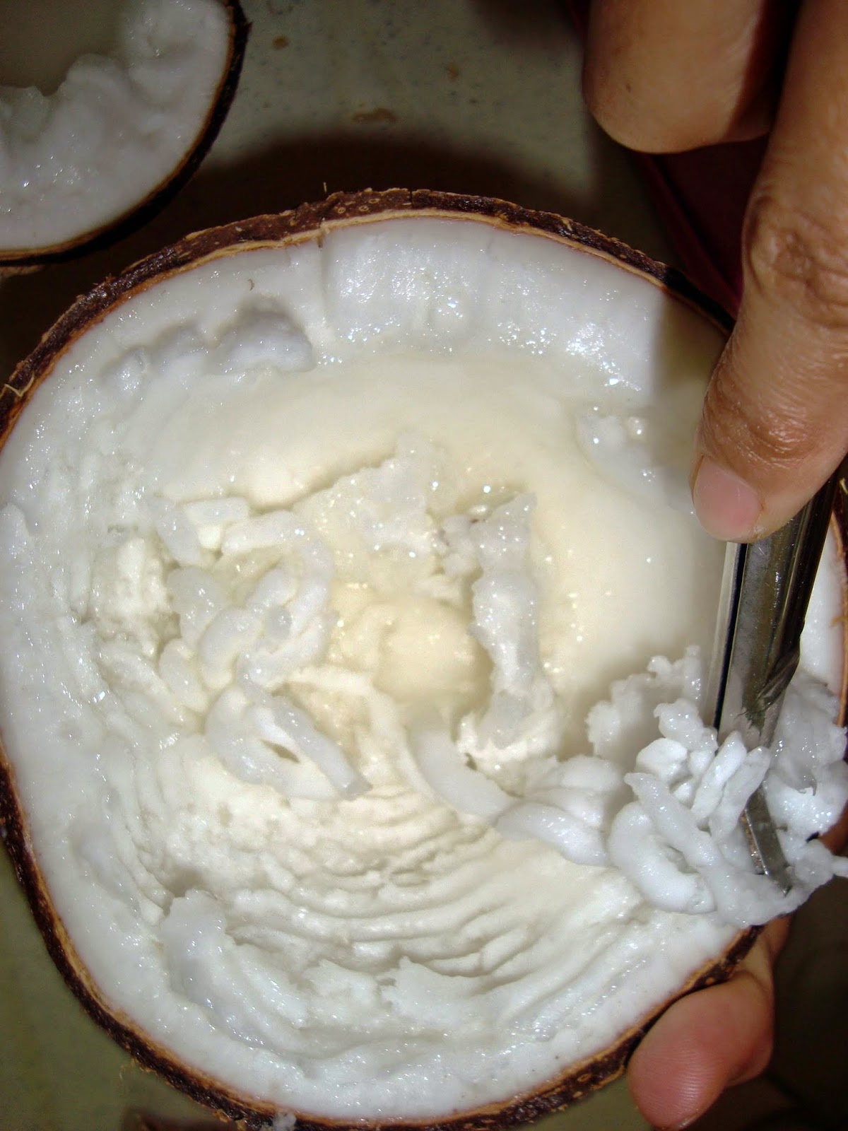 Living with Nature - School on Blog by Dr. Abercio V. Rotor: Mystery of ...