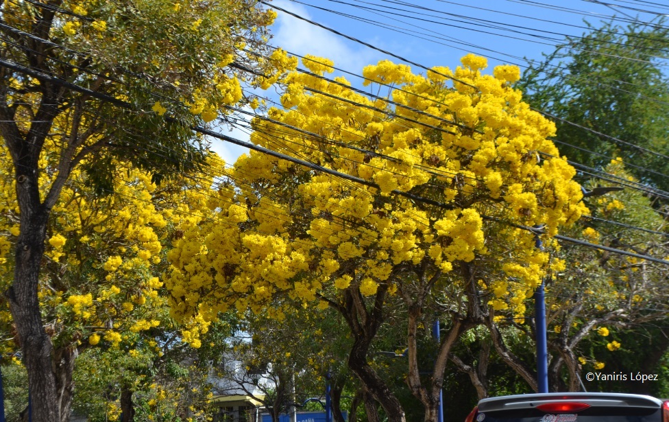 Ningún lugar está lejos... en RD: abril 2019